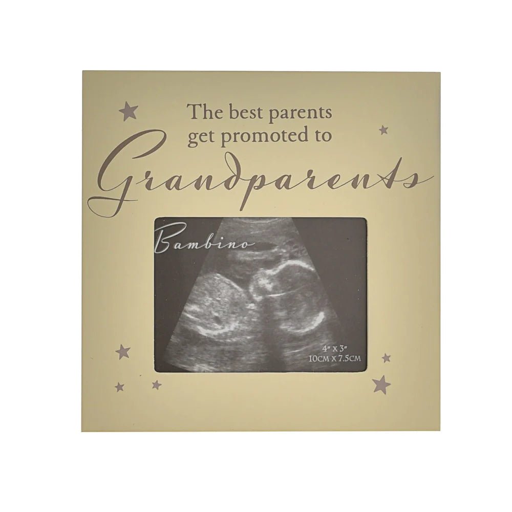 Grandparents Scan Photo Frame