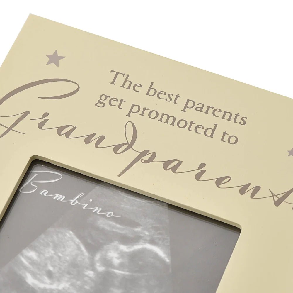 Grandparents Scan Photo Frame