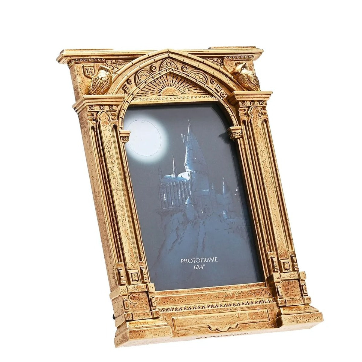 Harry Potter Hogwarts Alumni Gold Photo Frame – Just Blue Or Pink