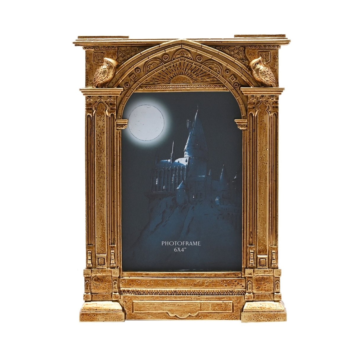 Harry Potter Hogwarts Alumni Gold Photo Frame – Just Blue Or Pink